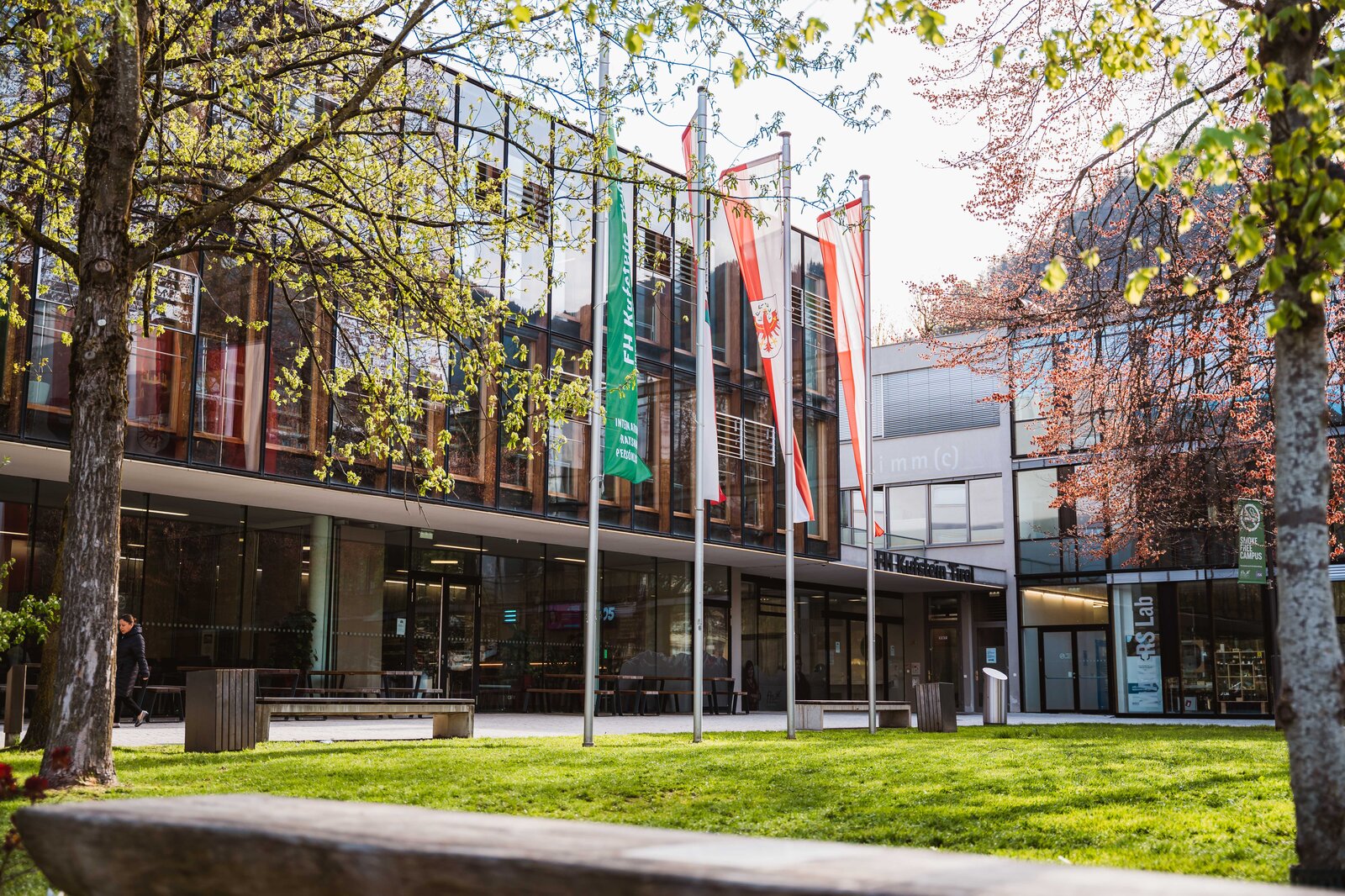 IPMA®-Zertifizierung Level D